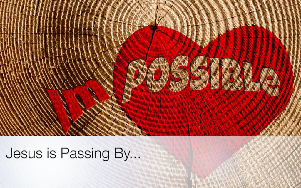 Jesus is Passing by & Says to You, ARISE! | Haly Ministries