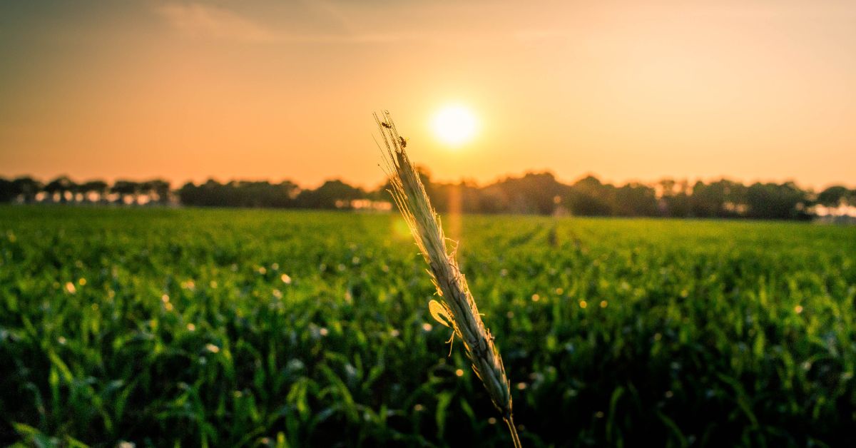 You shall Lack Nothing: Psalm 23 | Haly Ministries